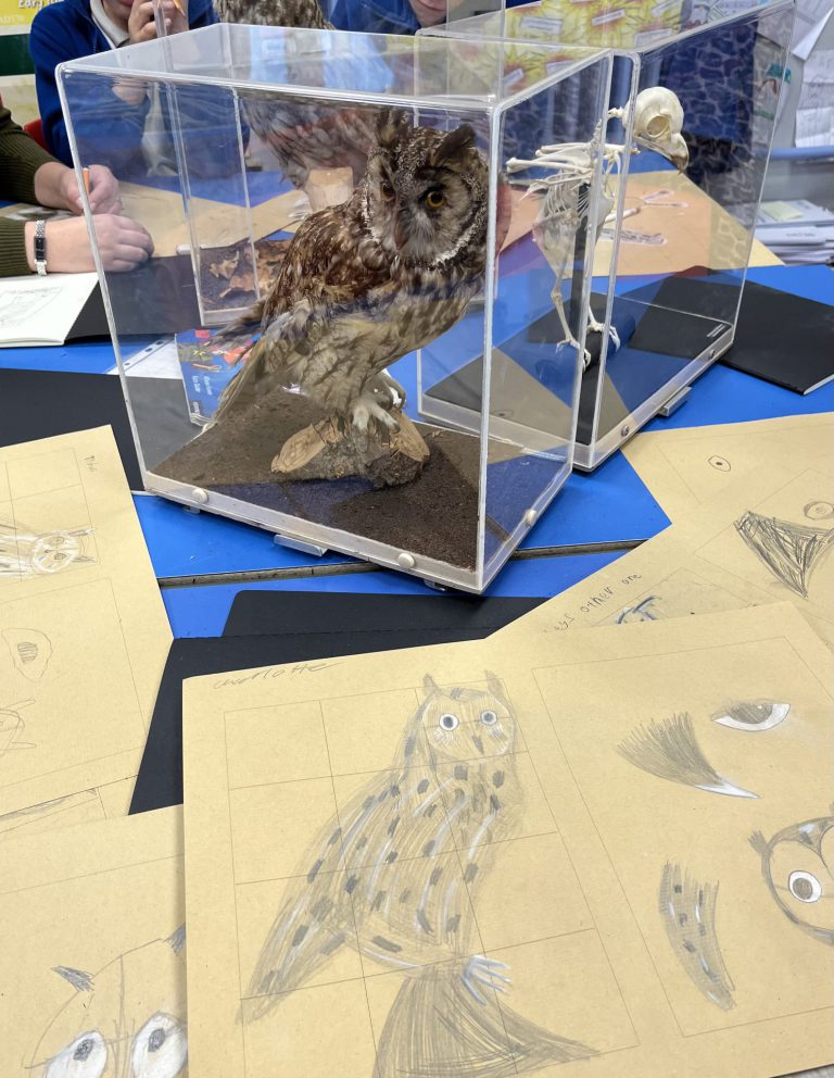 Art Workshops » Creative Learning Services