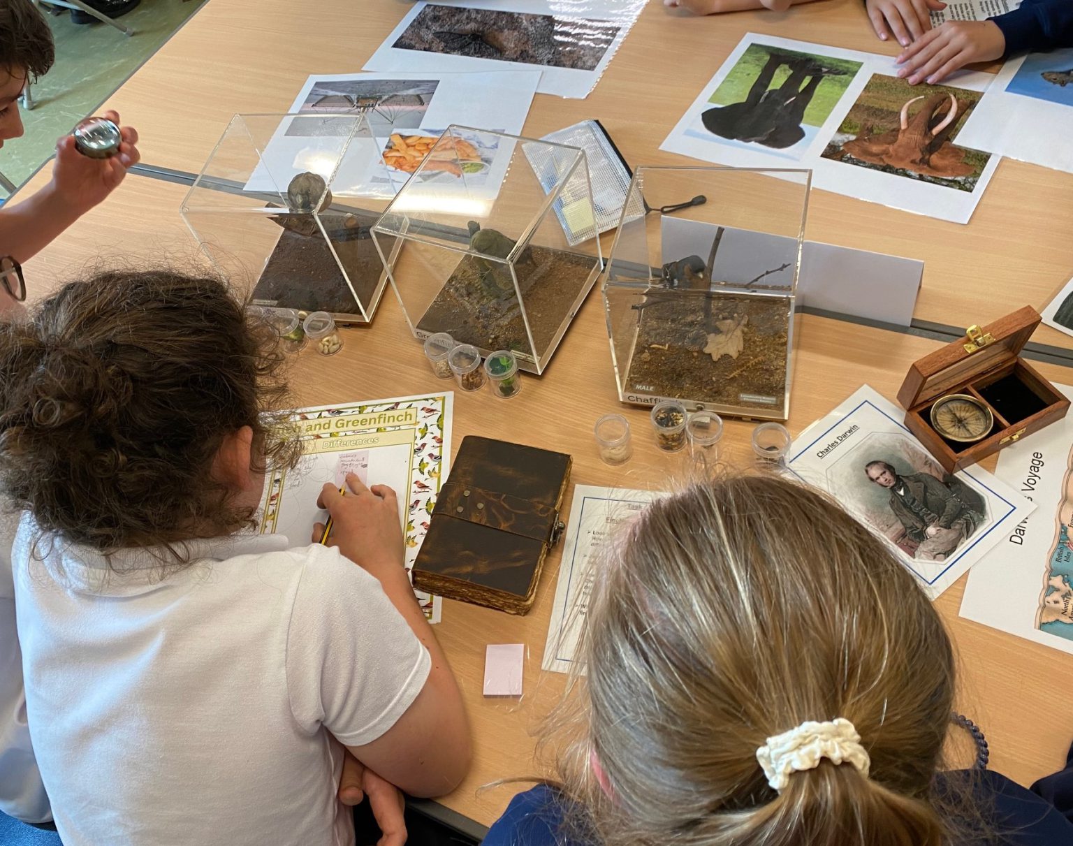 Museum Learning Sessions » Creative Learning Services